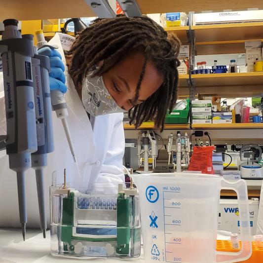 Home | Basser Center